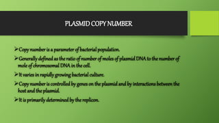 High and low copy number of plasmids | PPTX