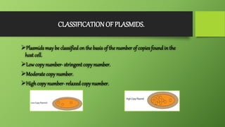 High and low copy number of plasmids | PPTX
