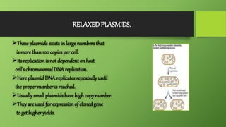 High and low copy number of plasmids | PPTX