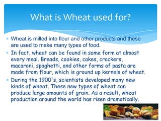 High challenge questions | PPT