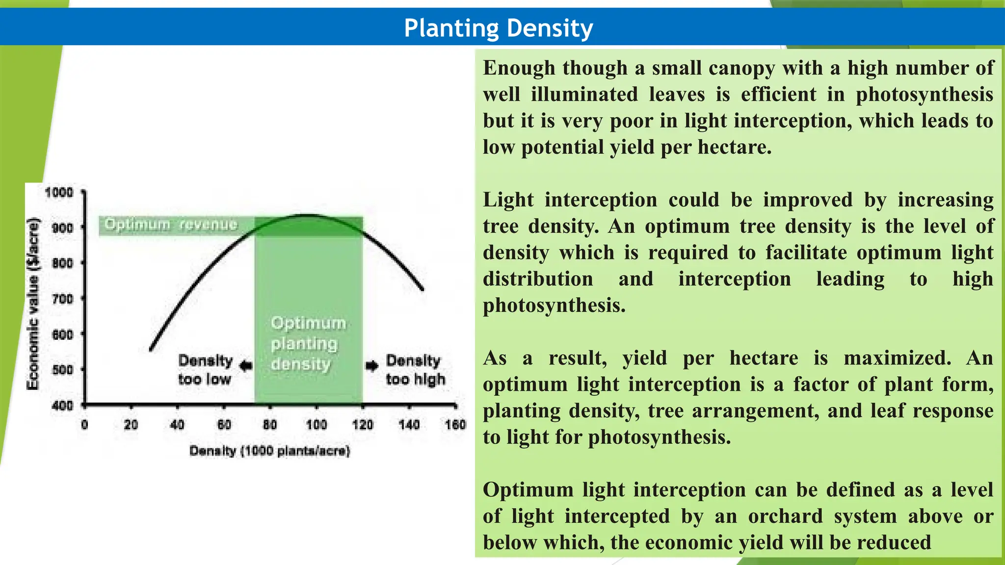 High density planting or orcharding.pptx
