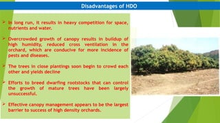 High density planting or orcharding.pptx