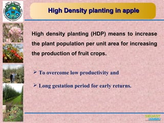 High density planting apple | PPT