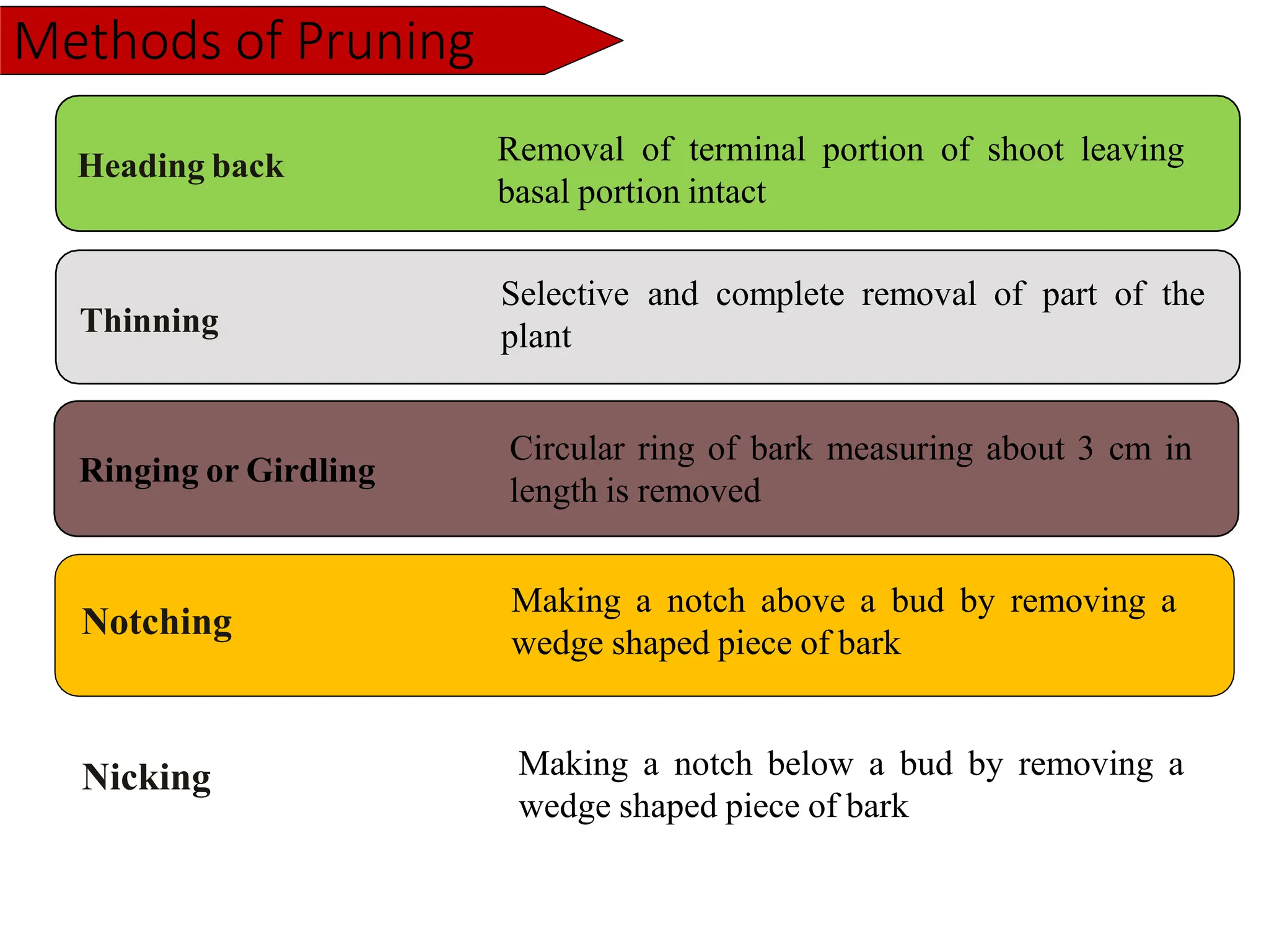 High Density Planting in Fruit Crops | PPTX