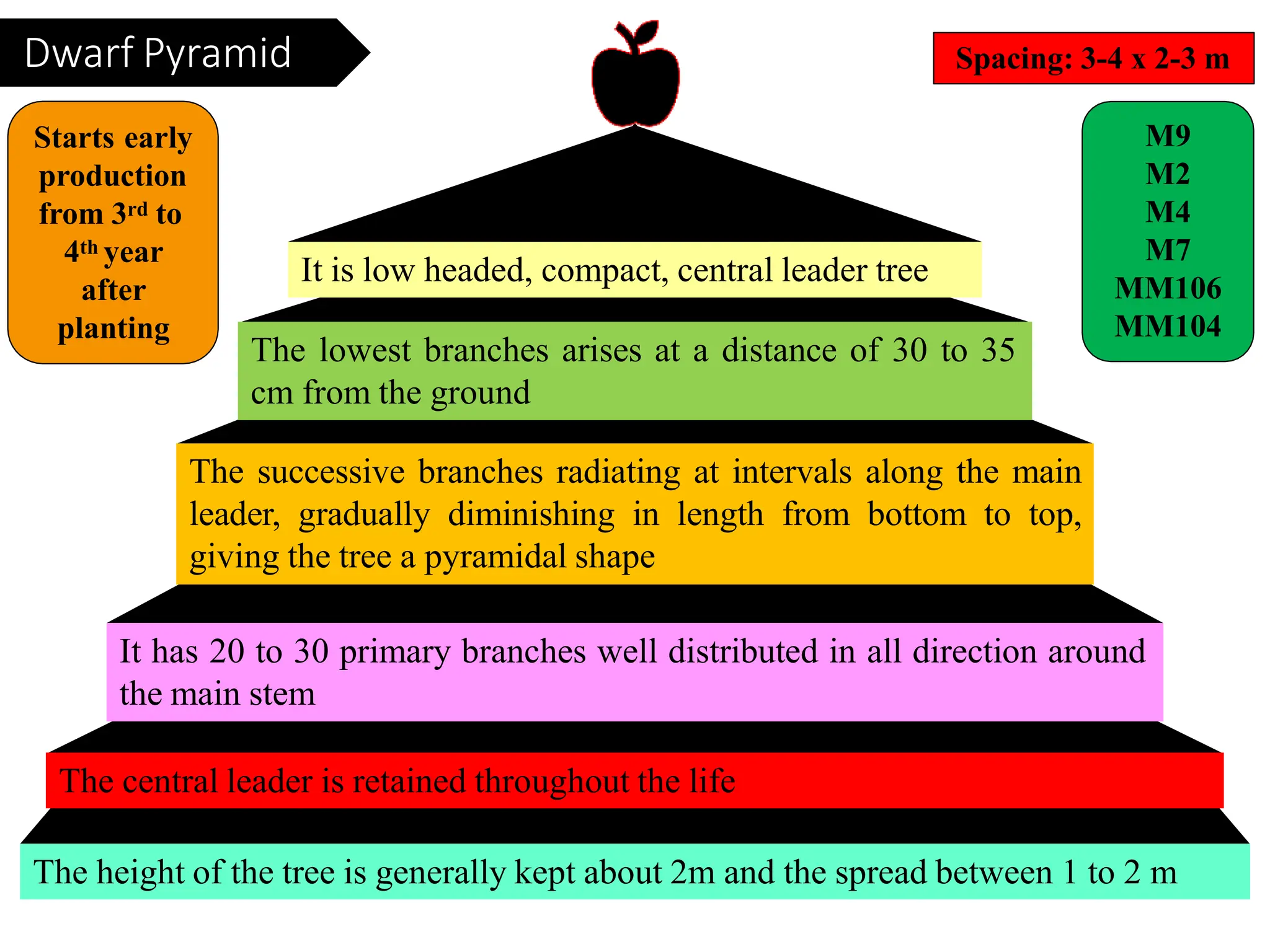 High Density Planting in Fruit Crops | PPTX