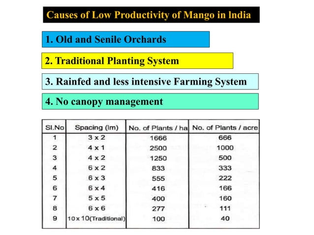 High Density Planting in Fruit Crops | PPTX