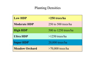 High Density Planting in Fruit Crops | PPTX