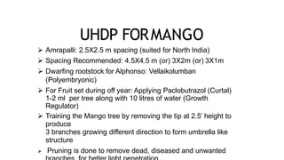 highdensityplanting | PPTX