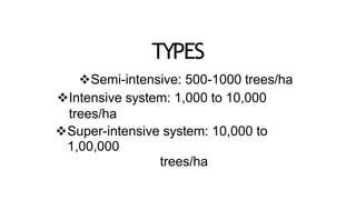highdensityplanting | PPTX