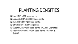 highdensityplanting | PPTX