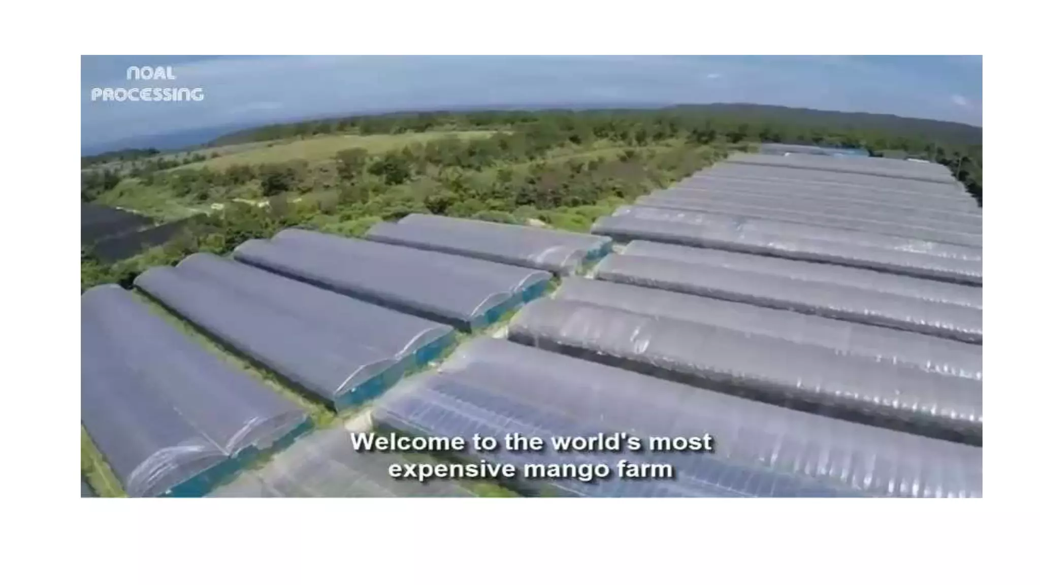 High density planting (HDP) | PPTX