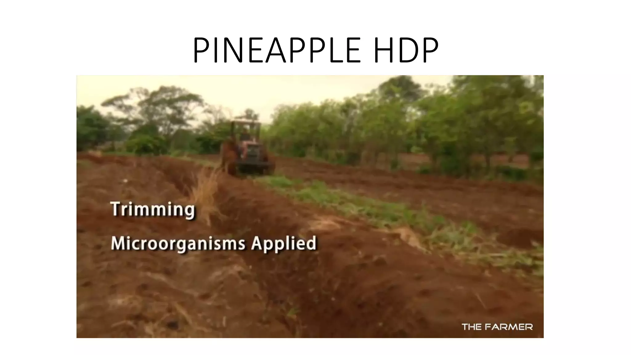 High density planting (HDP) | PPTX