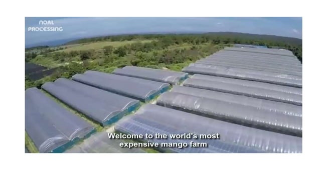 High density planting (HDP) | PPTX