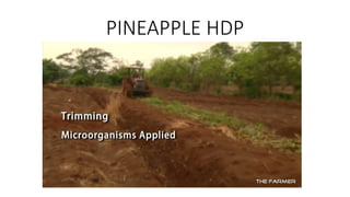 High density planting (HDP) | PPTX