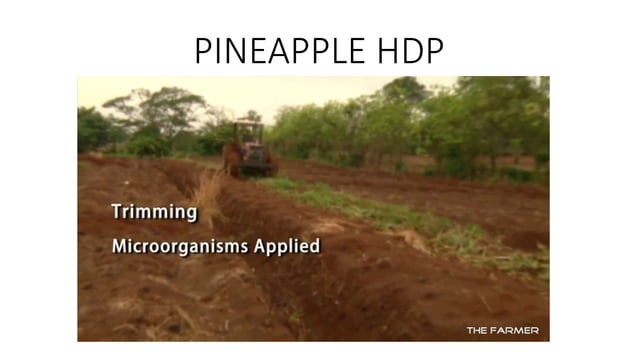 High density planting (HDP) | PPTX