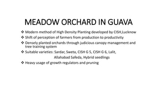 High density planting (HDP) | PPTX