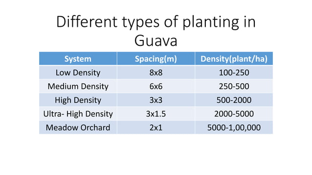 High density planting (HDP) | PPTX