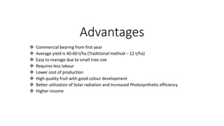 High density planting (HDP) | PPTX