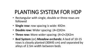 High density planting (HDP) | PPTX