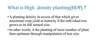 highdensityplantinginbanana | PDF