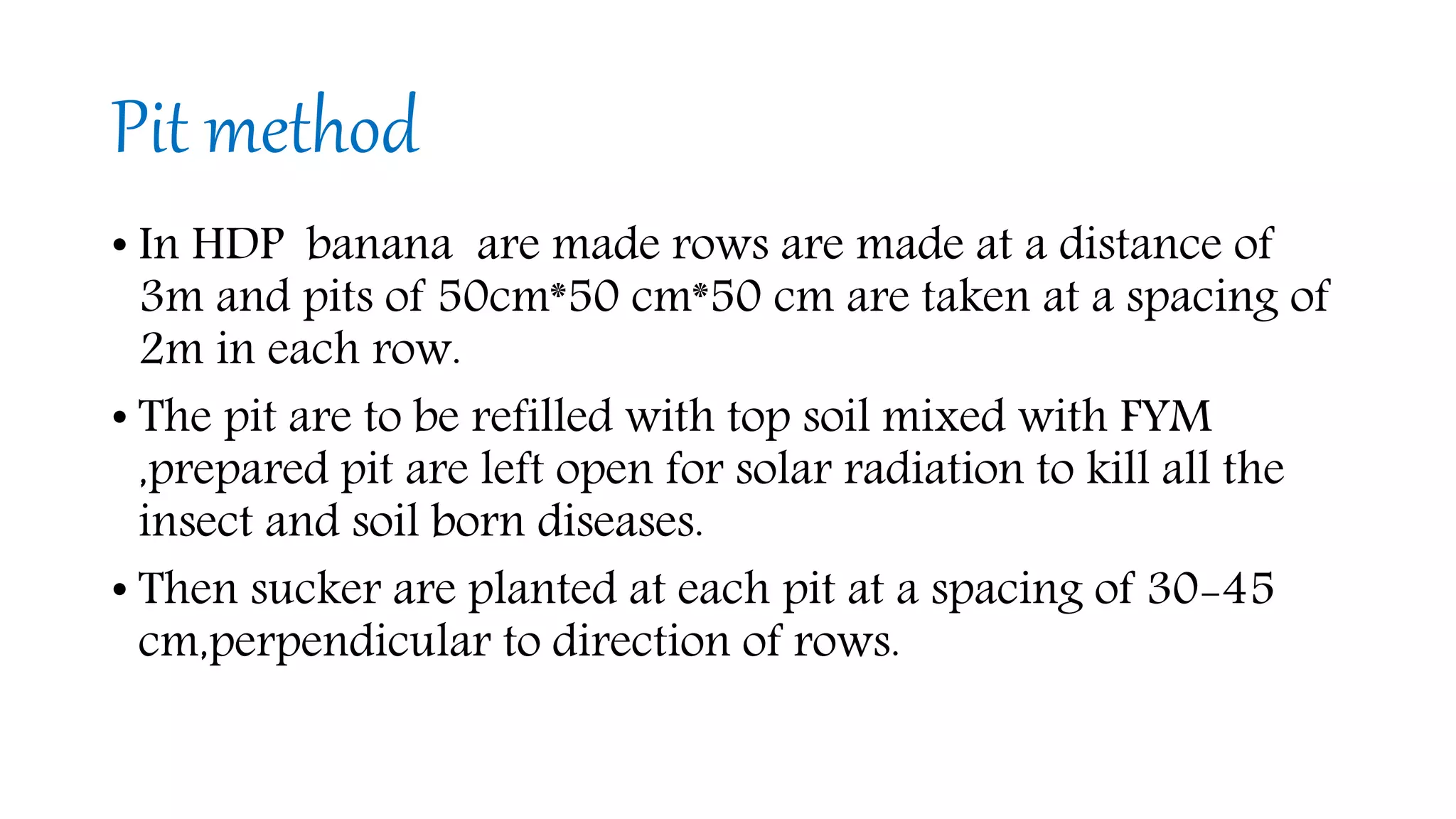 High density planting in Banana | PPTX