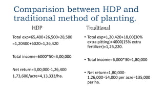 High density planting in Banana | PPTX