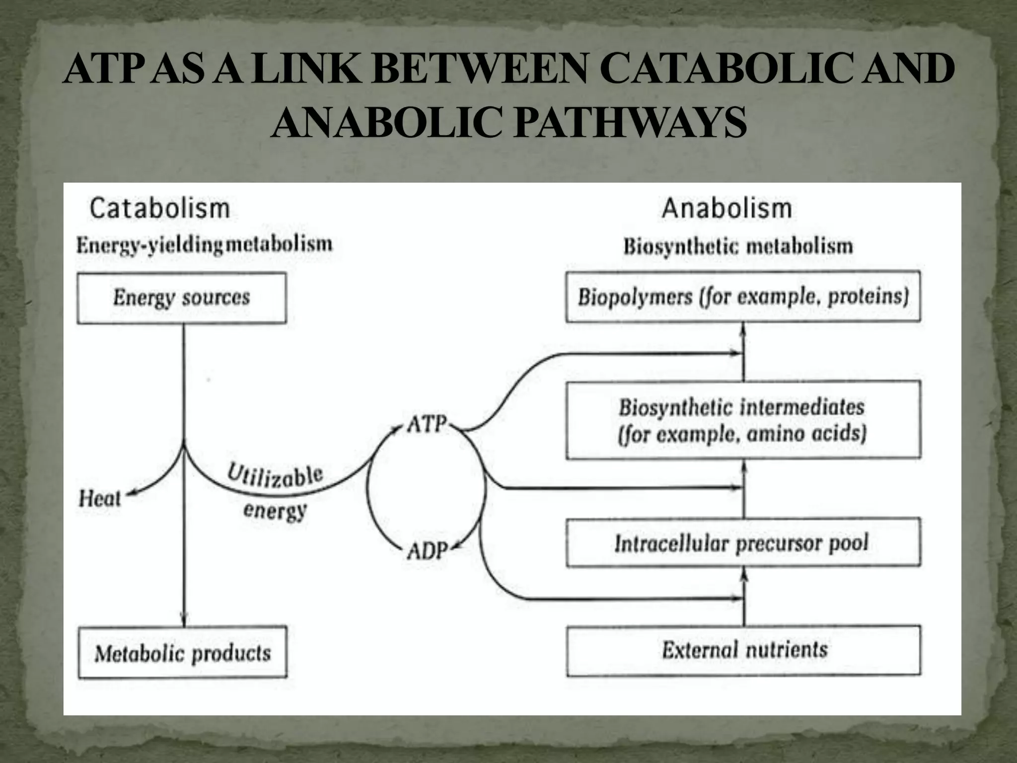 High energy compounds | PPTX