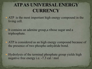 High energy compounds | PPTX