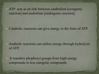 High energy compounds | PPTX