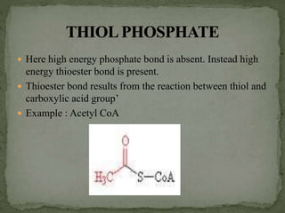 Enol Phosphate