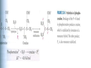 High energy compounds | PPTX