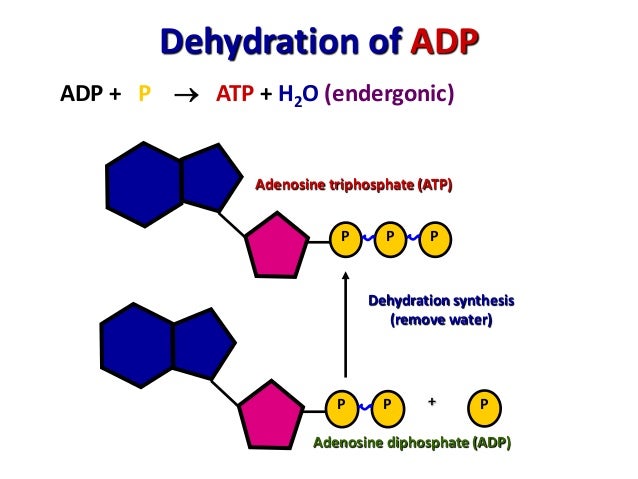High energy compounds