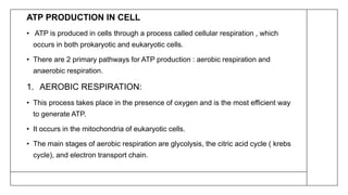 High energy molecules.pptx