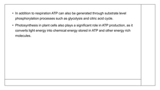 High energy molecules.pptx