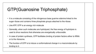 High energy molecules.pptx
