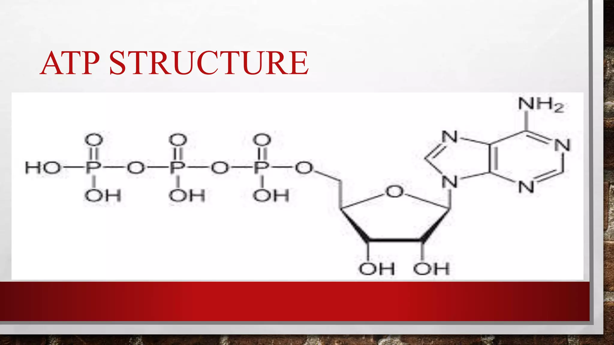 High energy phosphate compounds | PPTX
