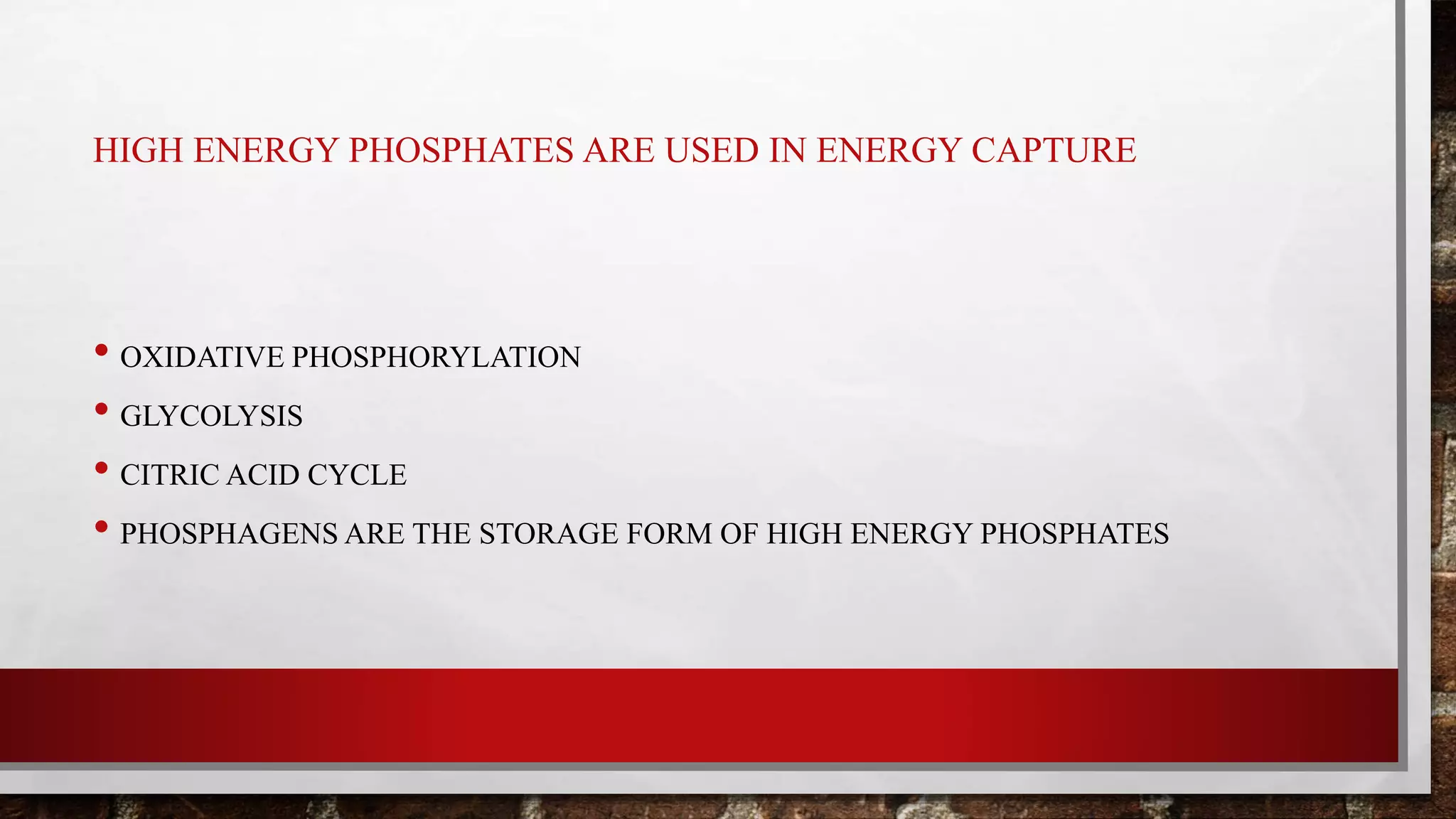 High energy phosphate compounds | PPTX