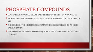 High energy phosphate compounds | PPTX