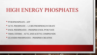 High energy phosphate compounds | PPTX