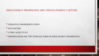 High energy phosphate compounds | PPTX