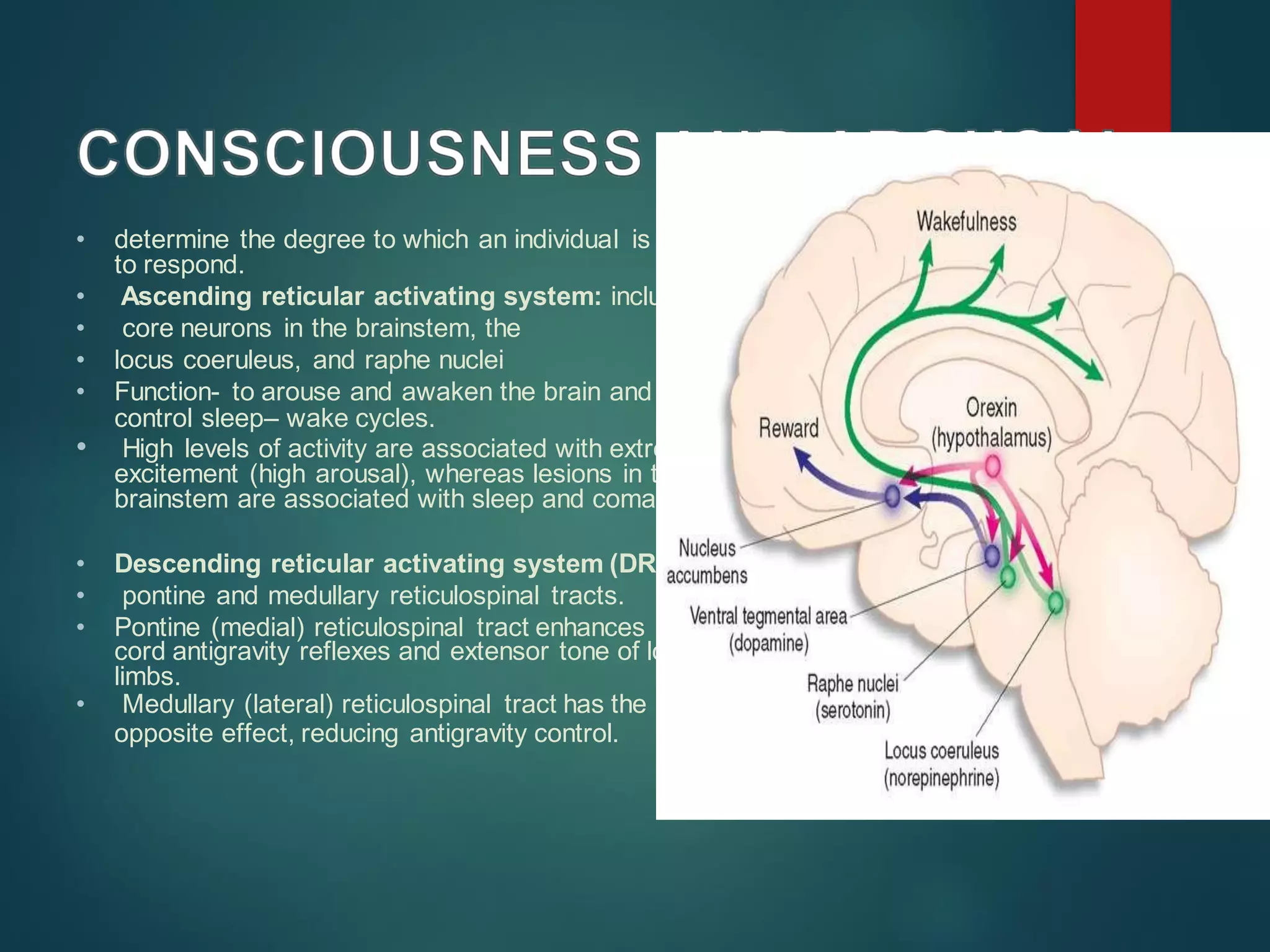 higher-mental-function.pdf