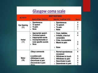 higher-mental-function.pdf