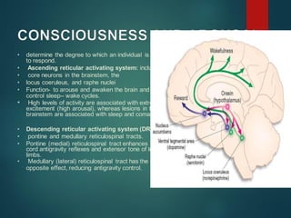 higher-mental-function.pdf