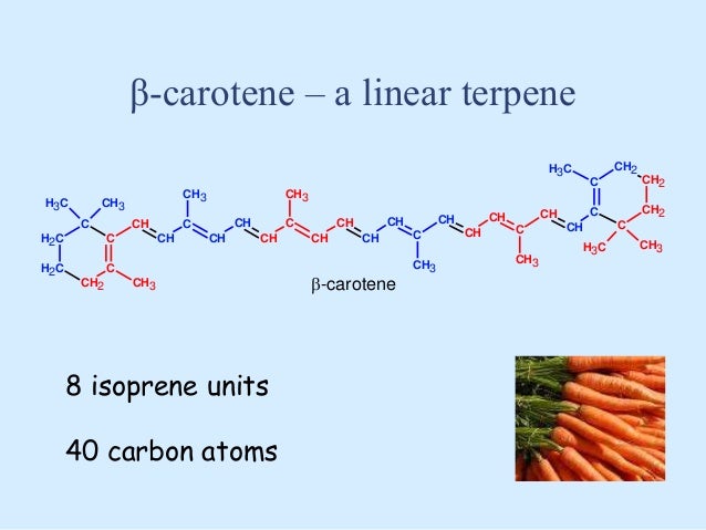 higher-unit-2-l6-terpenes.pptx