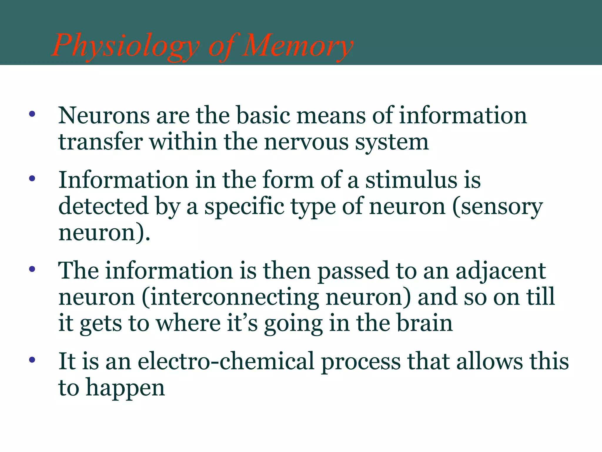 Higher brain functions., (physiology) | PPT