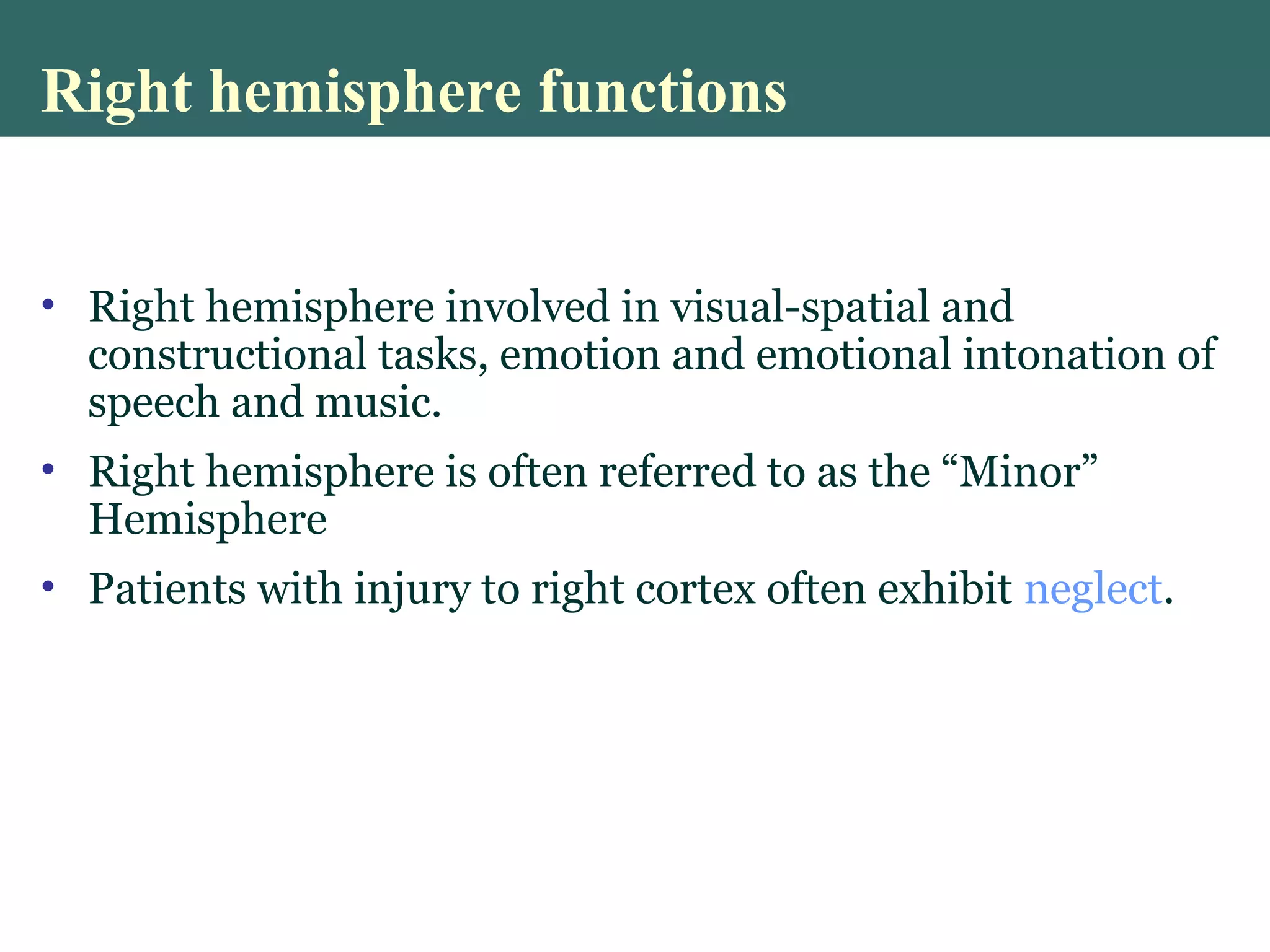 Higher brain functions., (physiology) | PPT