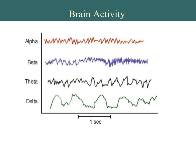 Higher brain functions., (physiology) | PPT | Brain and Nervous System ...