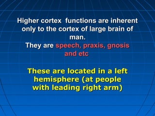 Higher cortex function | PPT
