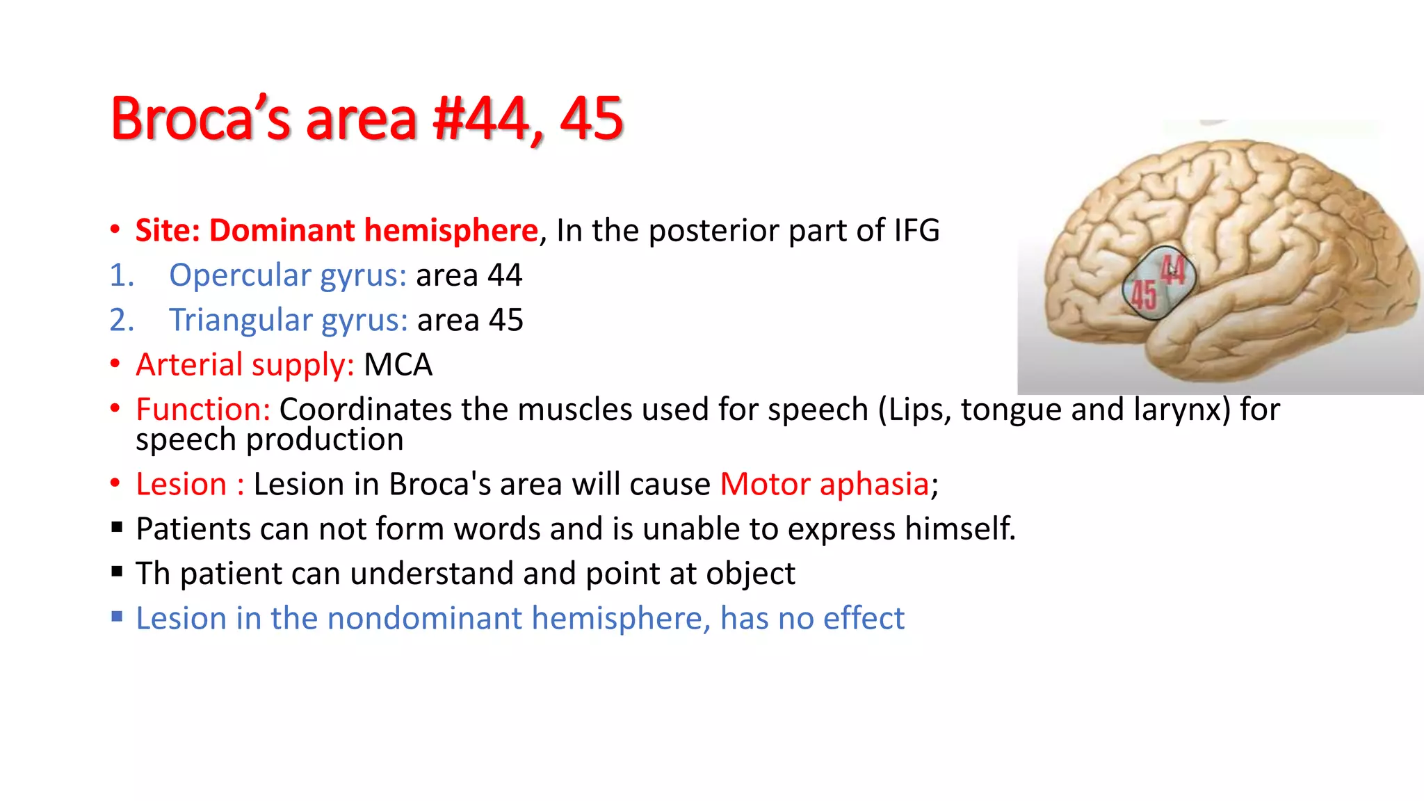 Higher Cortical Functions.pptx