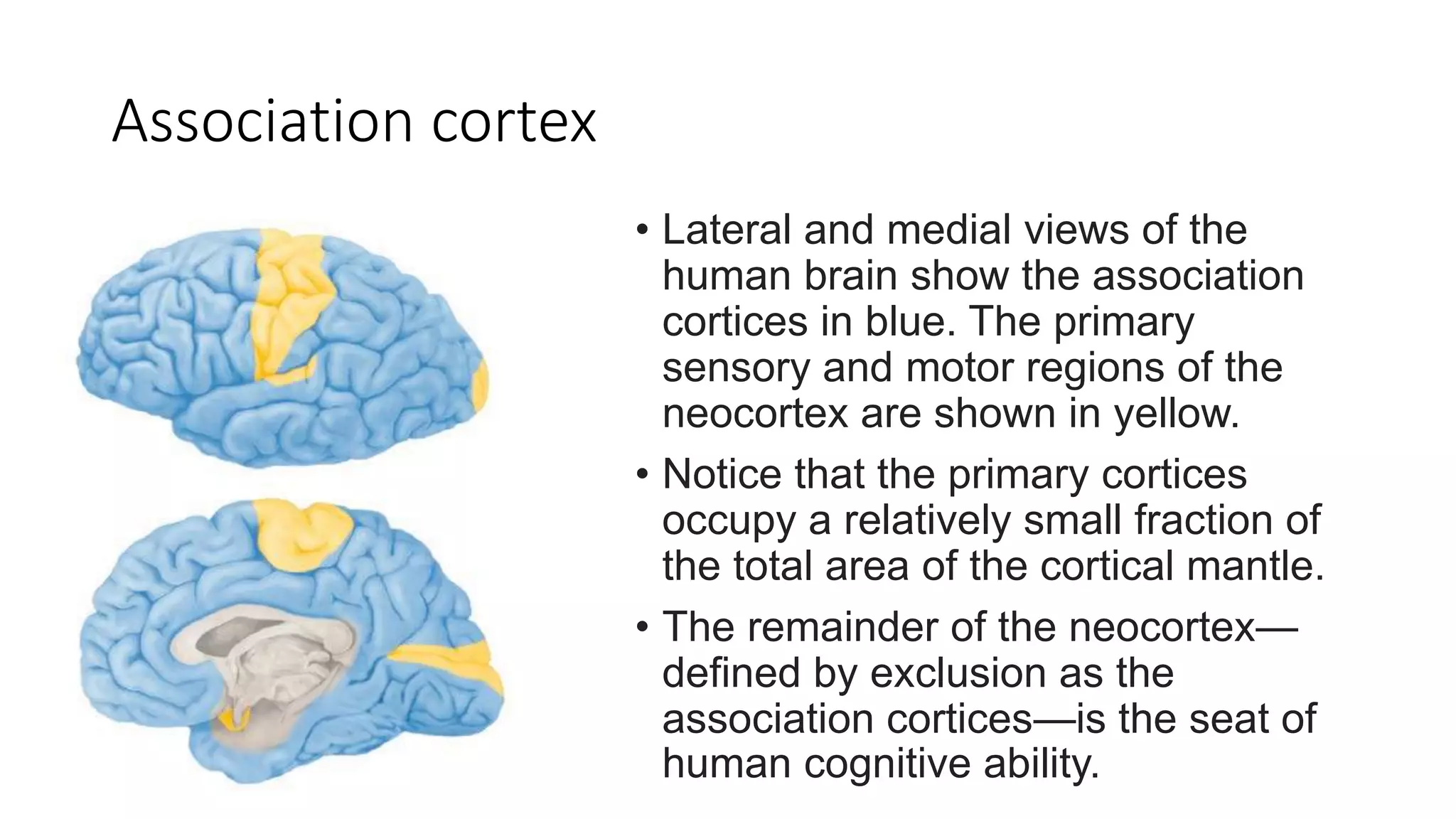 Higher Cortical Functions.pptx
